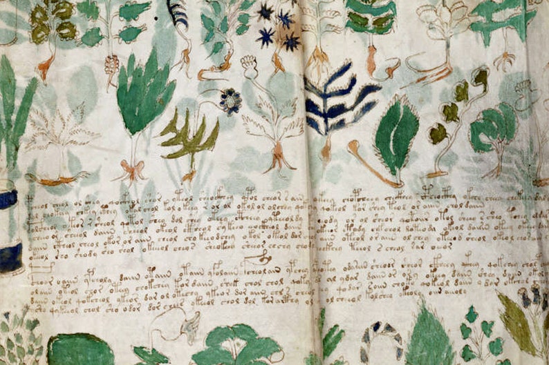 The Voynich Manuscript on USB Mystery Medieval Book Secret - Etsy