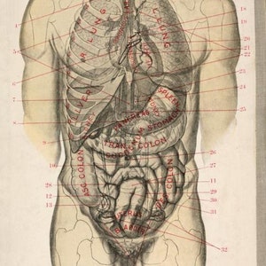 46 Rare Antique Human Autopsy Books on USB - Pathology Post Mortem ...