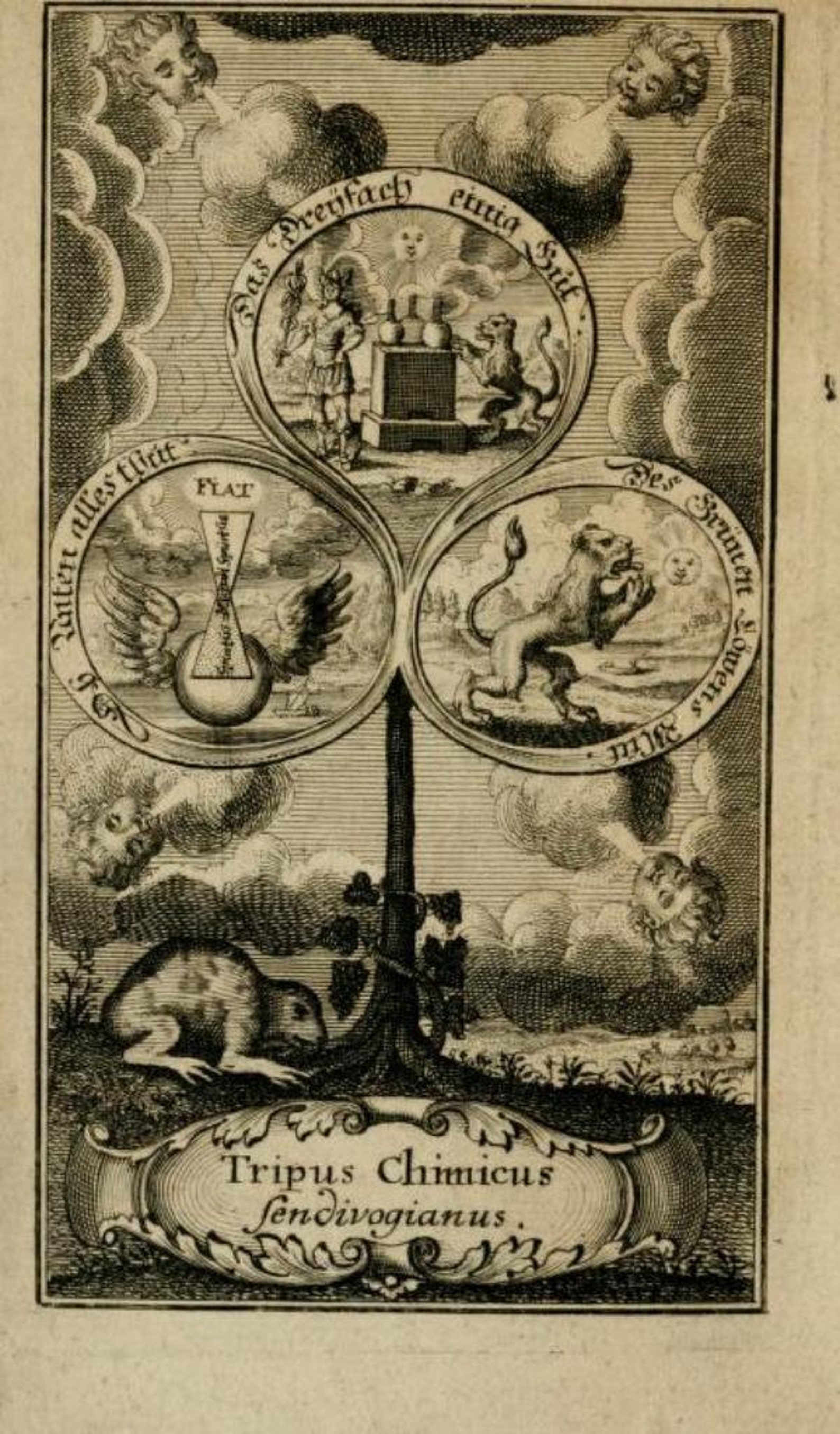 167 Old Alchemical Books & Manuscripts on USB - Philosophy Occult ...