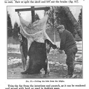56 Old Butchery Books on DVD - Butcher Meat Curing Sausage Making ...