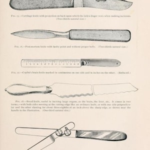 46 Rare Antique Human Autopsy Books on USB - Pathology Post Mortem ...