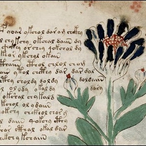 The Voynich Manuscript on USB - Mystery Medieval Book Secret Language ...