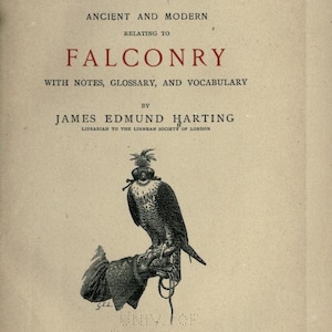110 Rare Antique Falconry Books on USB - Hawking Coursing Falconer Bird ...
