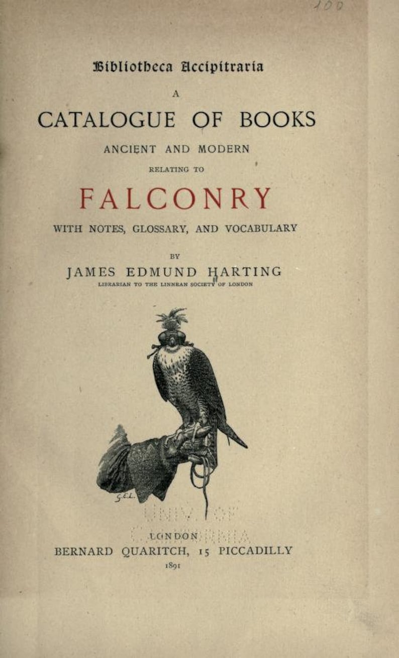 110 Rare Antique Falconry Books on USB - Hawking Coursing Falconer Bird ...