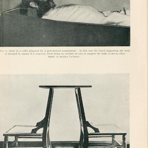 46 Rare Antique Human Autopsy Books on USB - Pathology Post Mortem ...