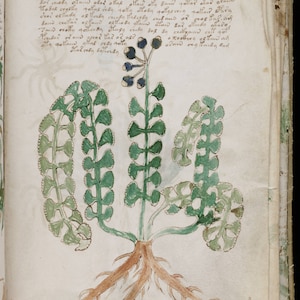 The Voynich Manuscript on USB - Mystery Medieval Book Secret Language ...