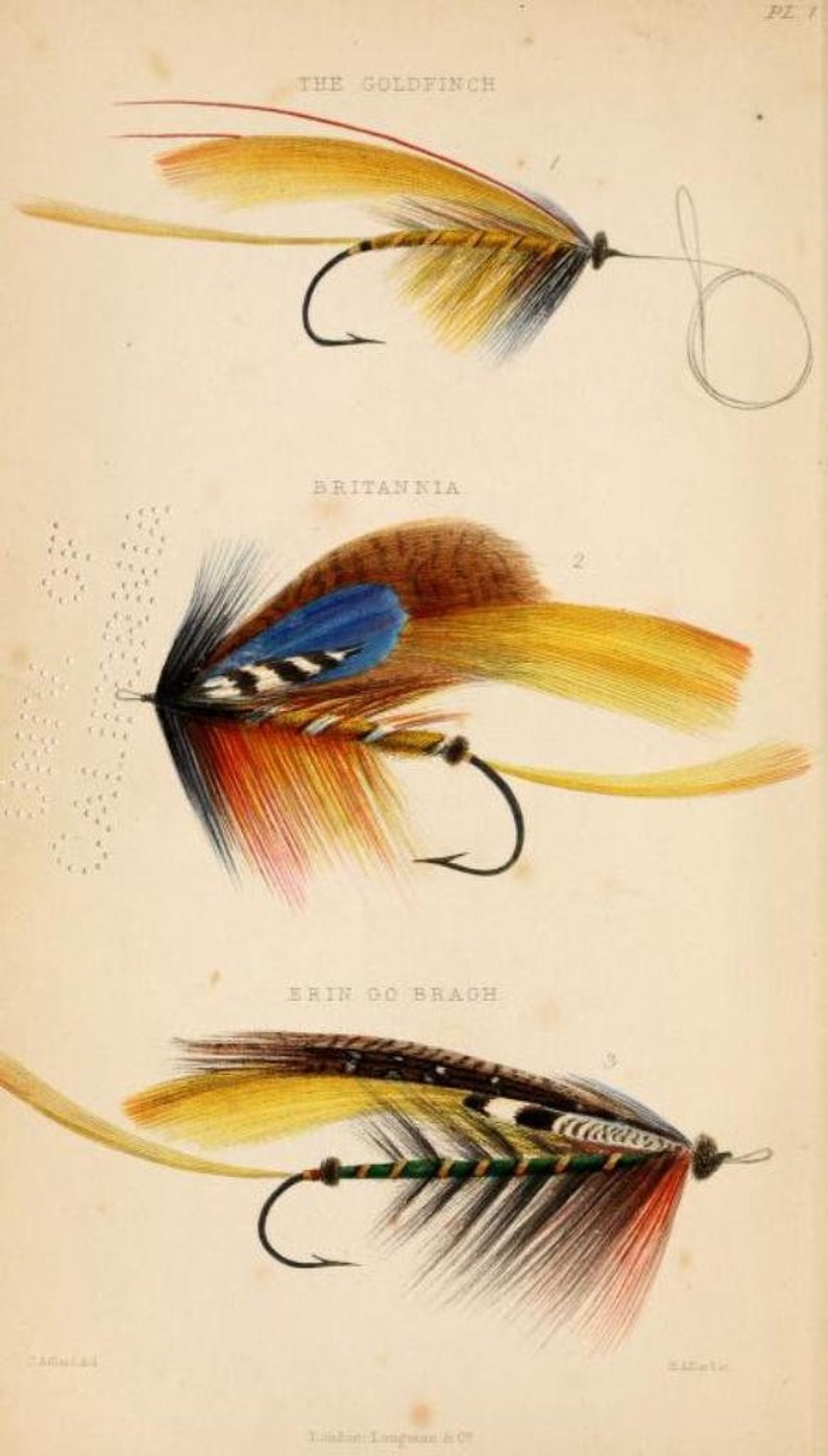 196 Rare Antique Fly Fishing Books on DVD Salmon Trout Fish - Etsy