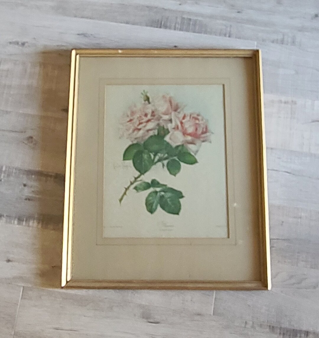 Antique Paul De Longpre Roses Lithograph Framed Print-shabby Chic-wall ...