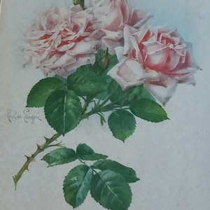 Antique Paul De Longpre Roses Lithograph Framed Print-shabby Chic-wall ...