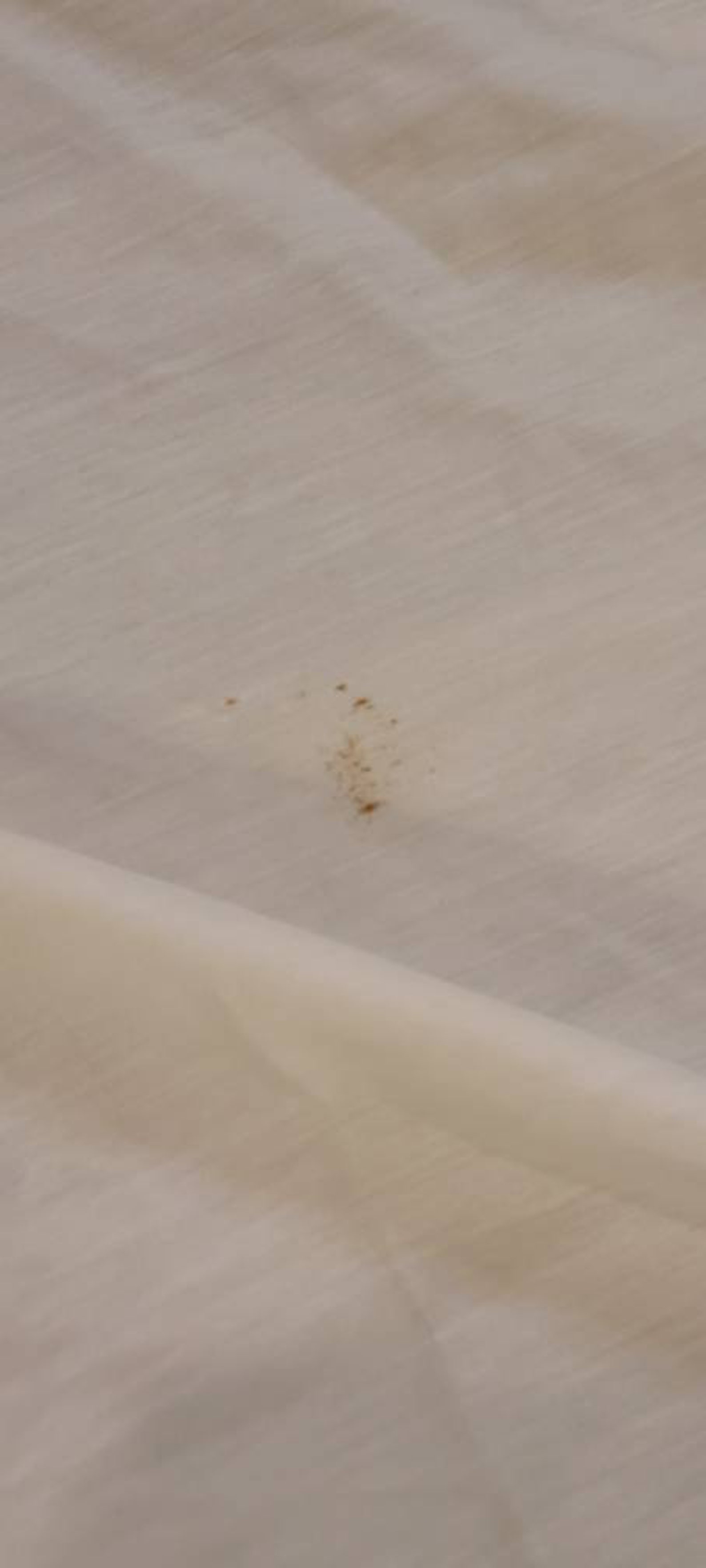 1980's MCM Rainbow Double/full and Queen Sheets-fitted & Flat Sheets ...