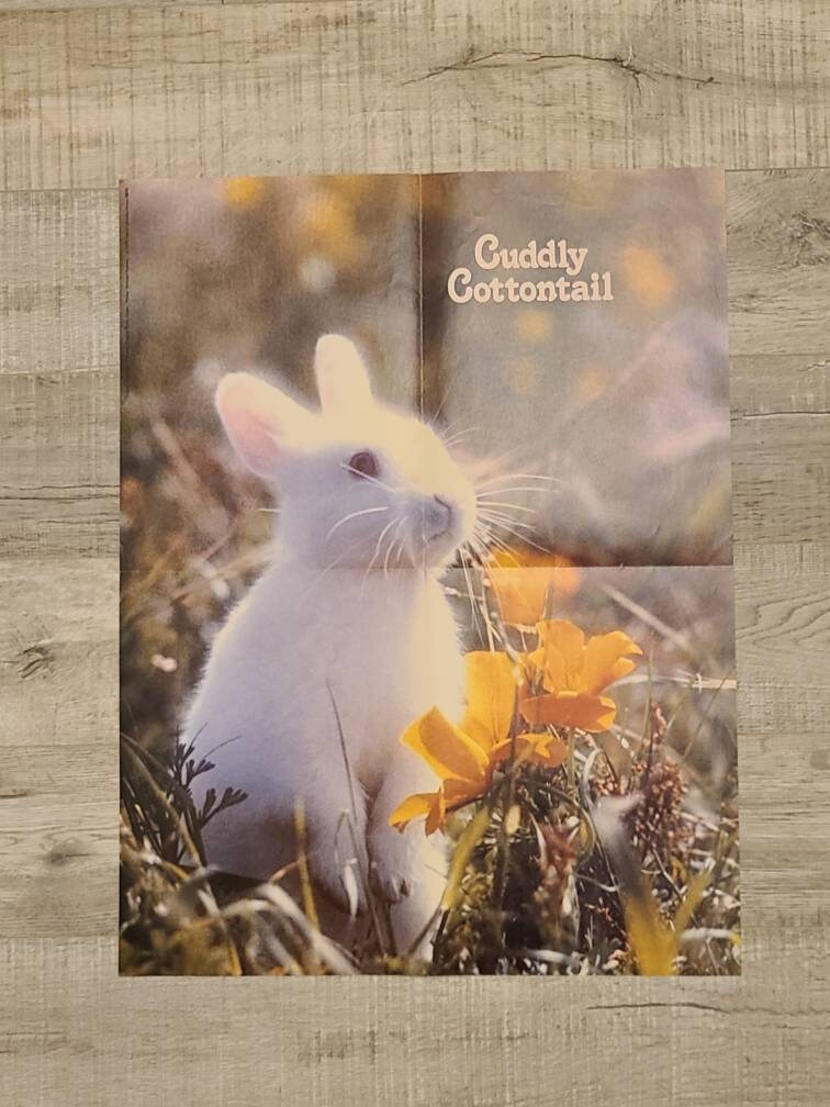 Vintage 1978 Bunny Poster-weekly Reader Book | Etsy