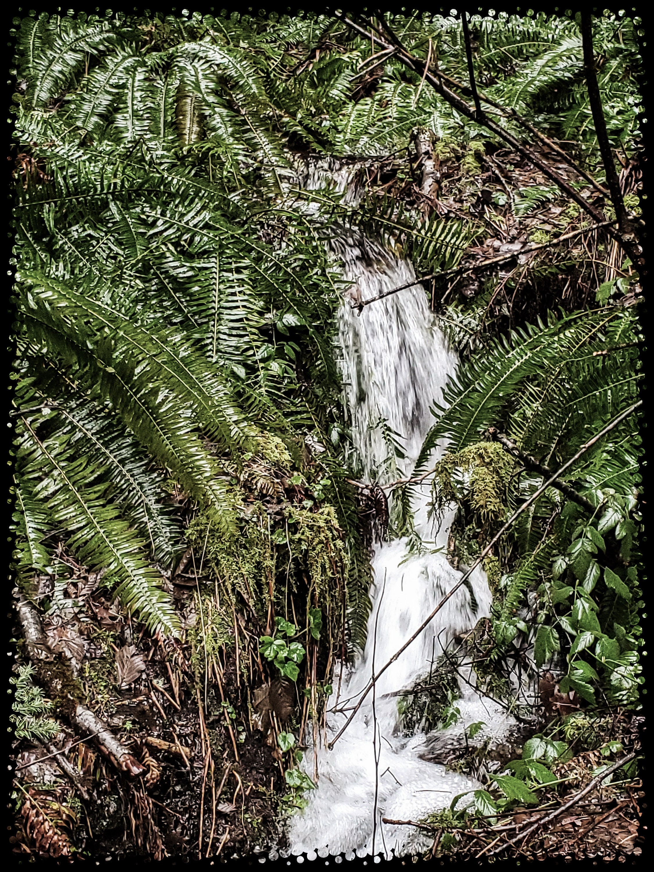 Simple Waterfall - Etsy