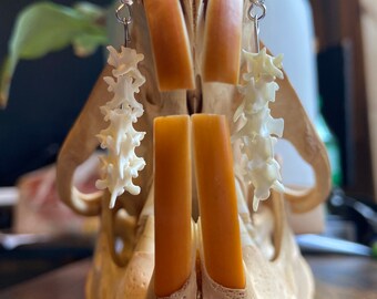 Real Snake Vertebrae Rib Bone Earrings - Etsy