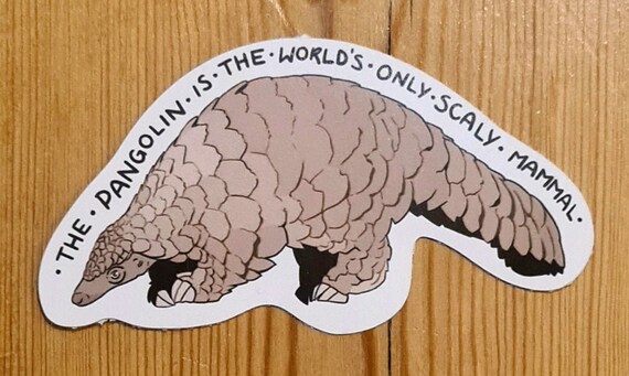 Pangolin Sticker | Etsy
