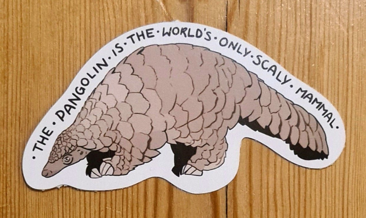 Pangolin Sticker - Etsy