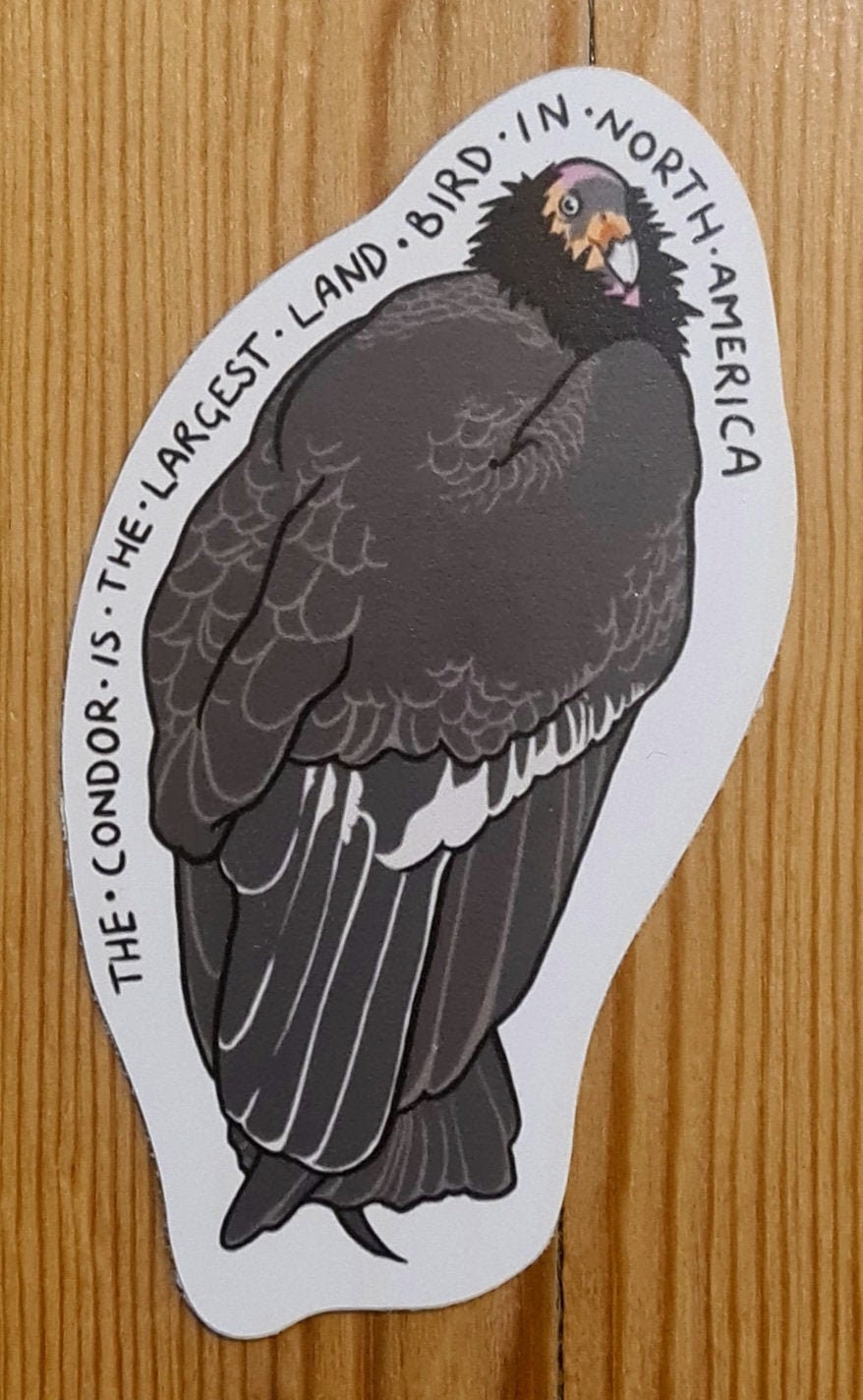 Condor Sticker - Etsy