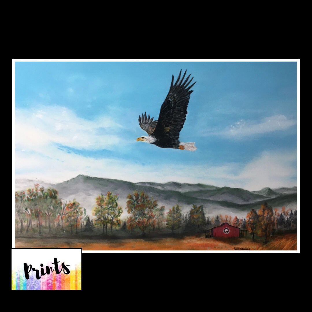 Flying Eagle UGA Barn North Georgia Mountains View, Georgia Dawgs, Georgia Bulldogs, Original ...