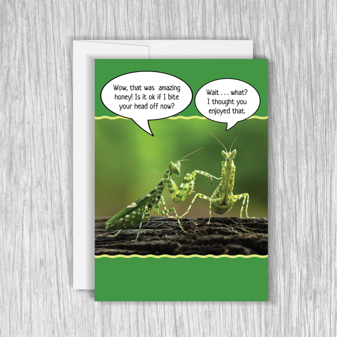 Funny Praying Mantis Birthday Card, Funny Birthday Card, Gift for Him ...