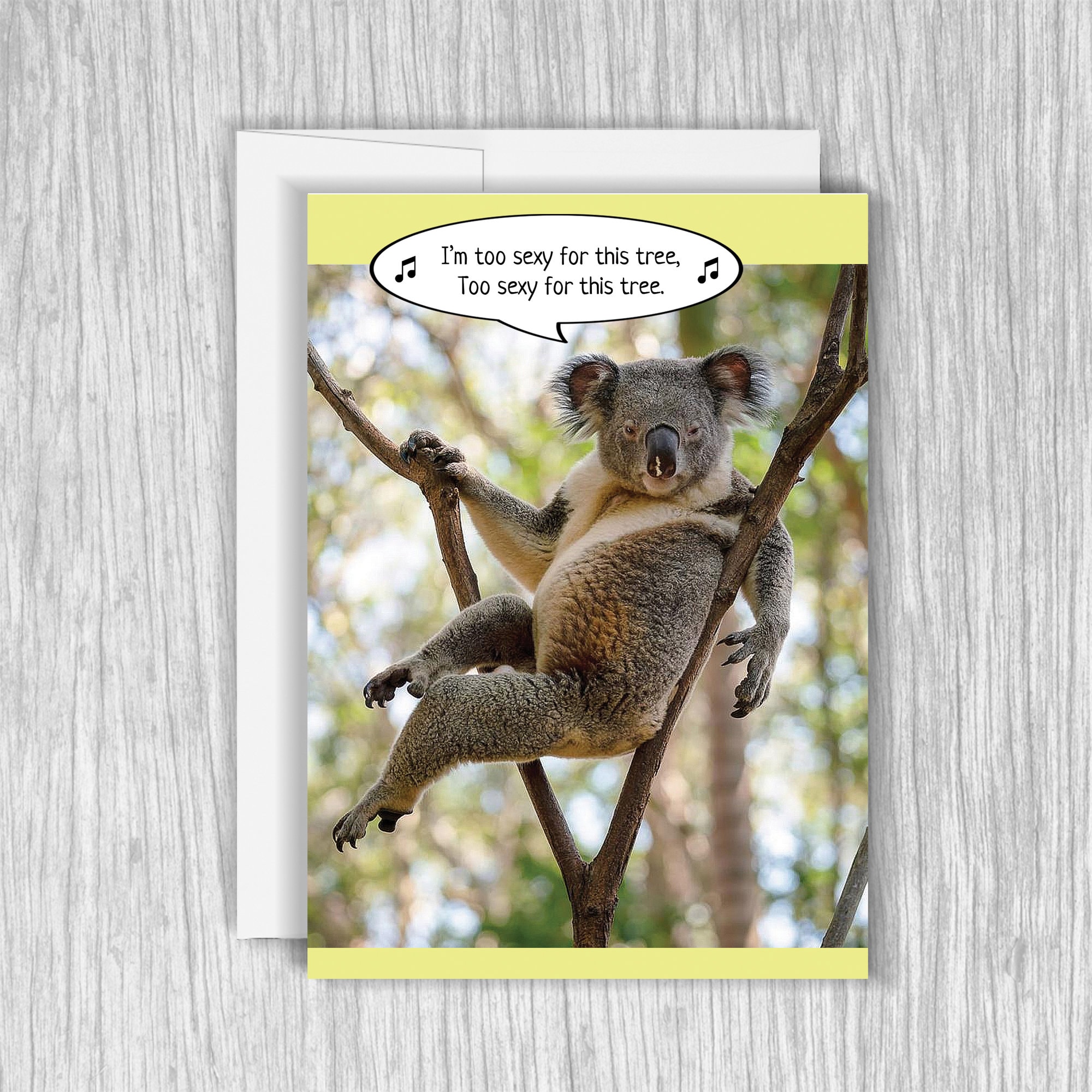 Funny Koala Bear Birthday Card, Funny Birthday Card, Funny Greeting ...