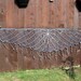 THE Cobweb Shawl Crochet Pattern Halloween - Etsy