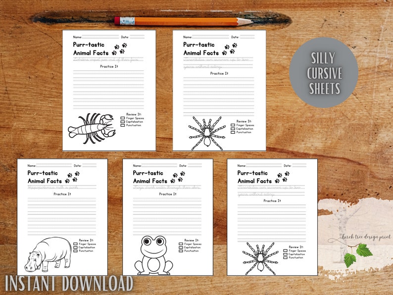 Cursive Penmanship and Handwriting Practice for Older Students | 8.5 X ...