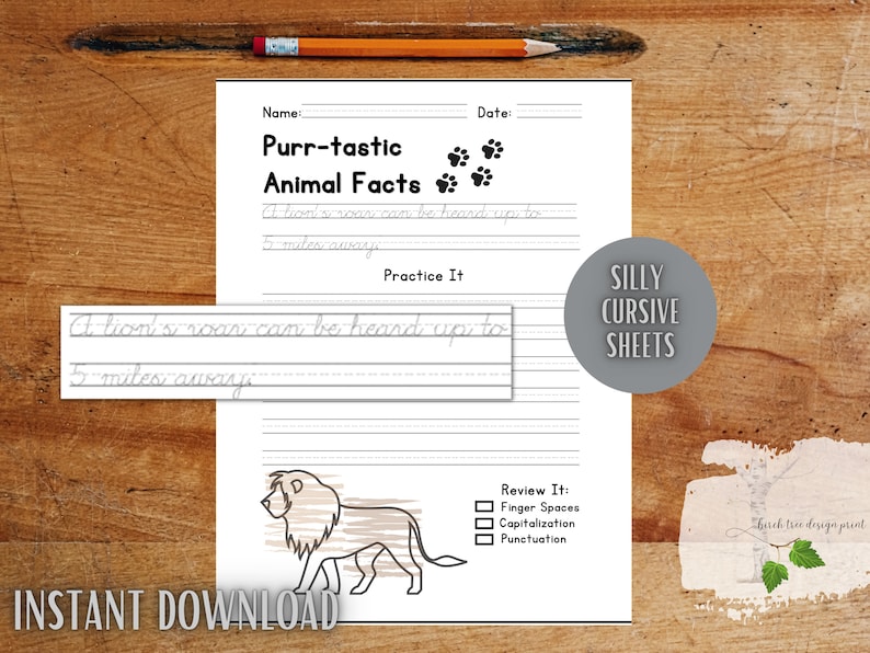 Cursive Penmanship and Handwriting Practice for Older Students | 8.5 X ...