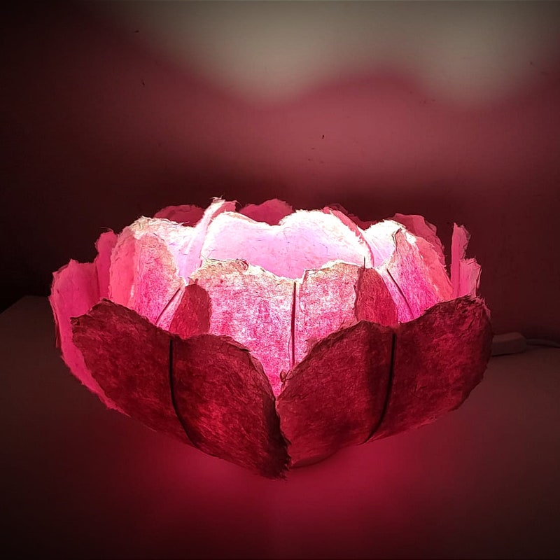 Rice Paper Lamp - Etsy