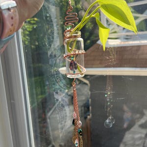 Plant Propagation Wire Wrapped Suncatcher - Etsy