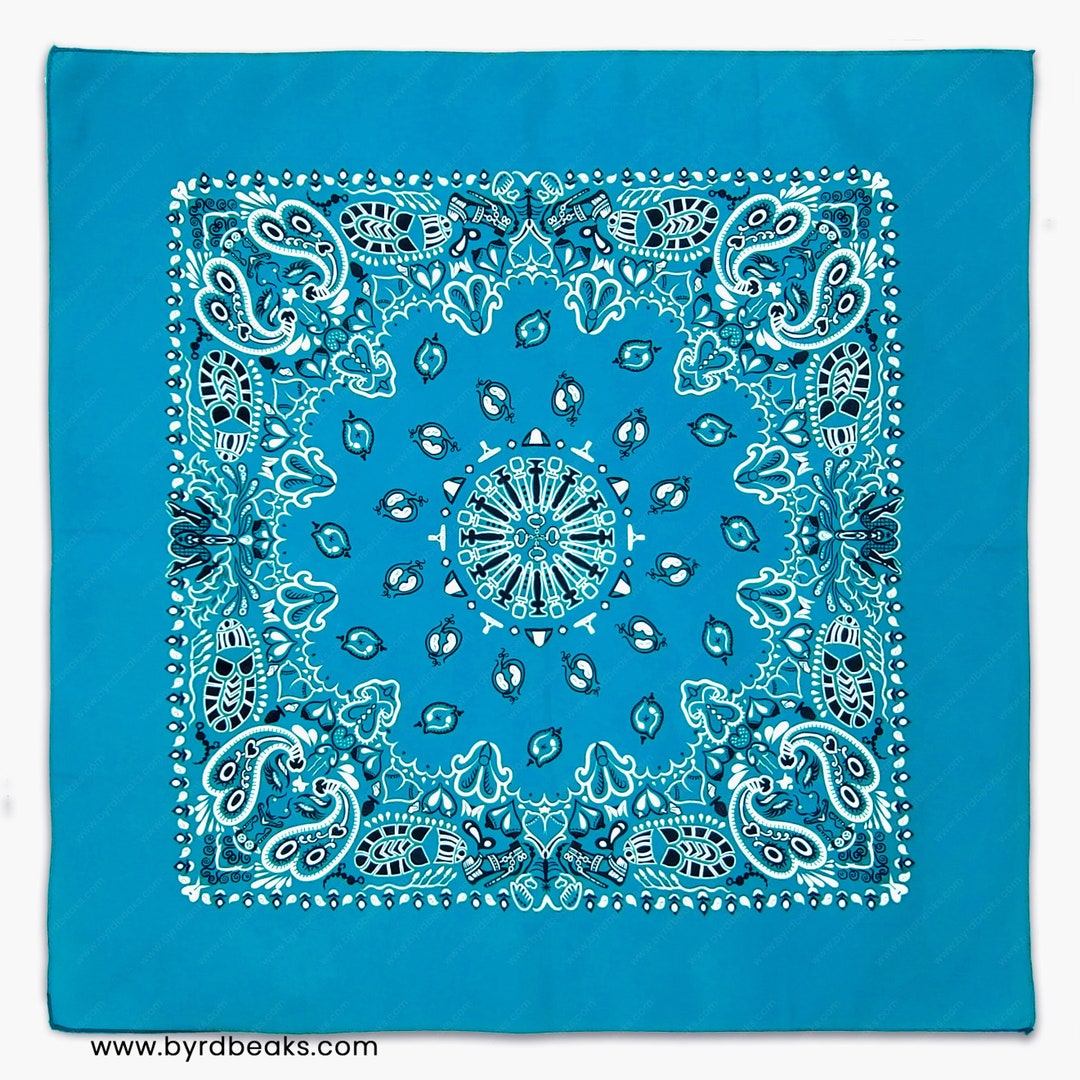 Teal Naughty Paisley Bandana - Etsy