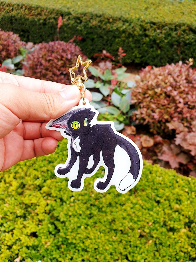 Warrior Cats Glow in the Dark Trio Keychains - Etsy
