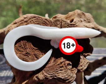 Funny Fishing Lures Funny Fishing Gifts for Men Dad Gifts Funny Fishing ...