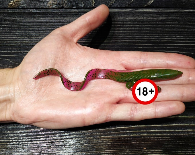 Funny Fishing Lures 5 Pack, Hilarious Gift for Him, Fathers Day Gift ...