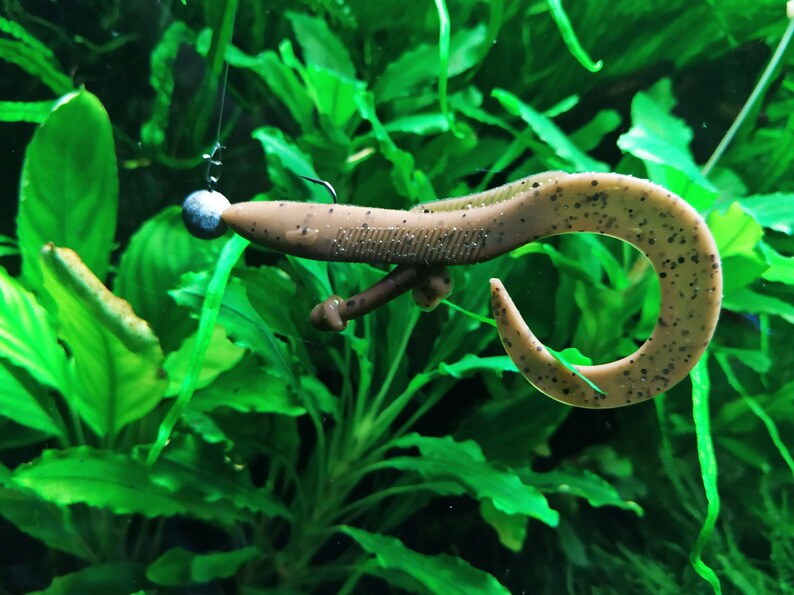 Funny Fishing Lure Fishing Gift Author's Creative - Etsy