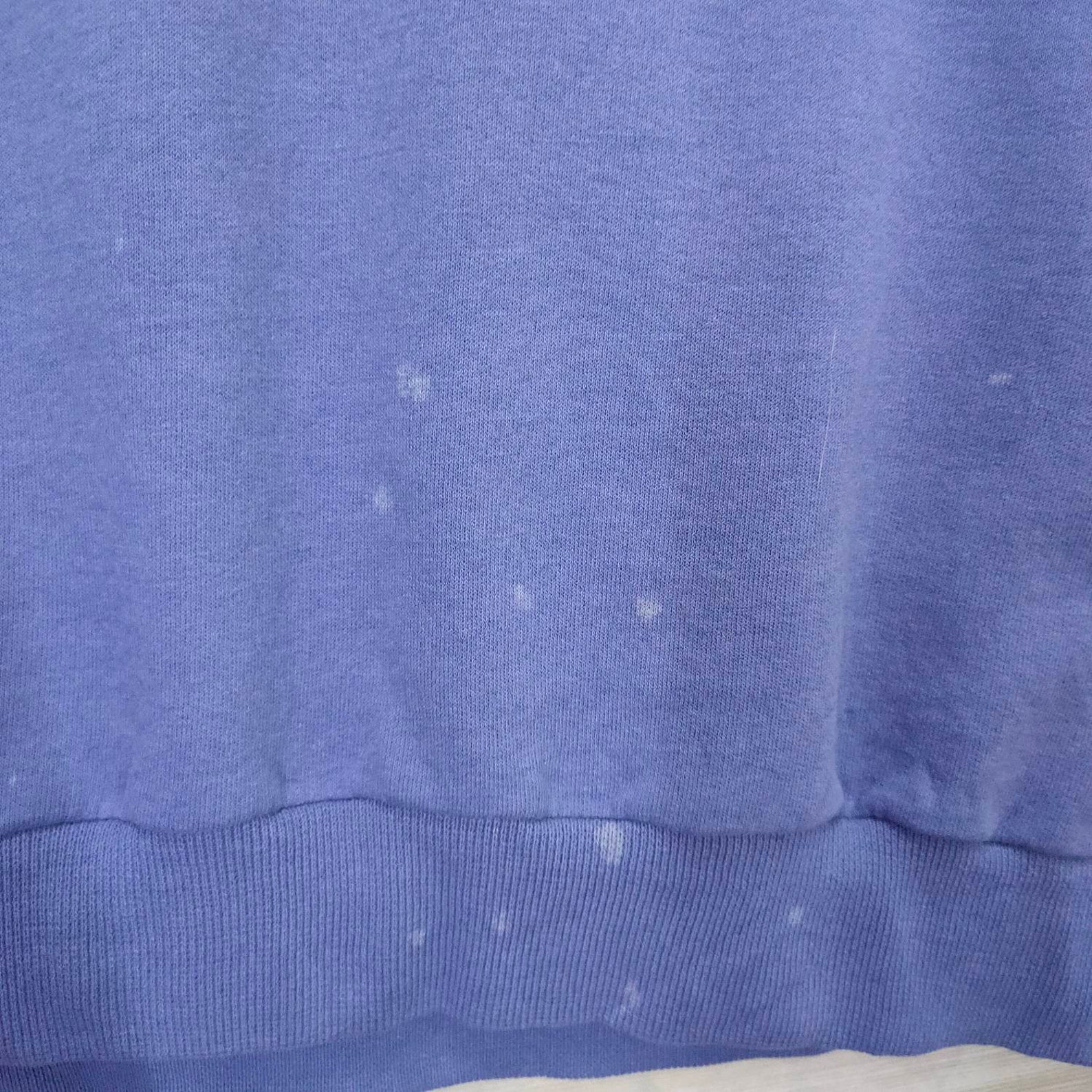 90s Washington Winter Wonderland Sweatshirt Large Vintage Jerzees ...