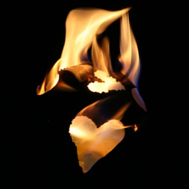 Stainless Steel Garden Plug Fire Fin Heart Garden Deco Rust - Etsy