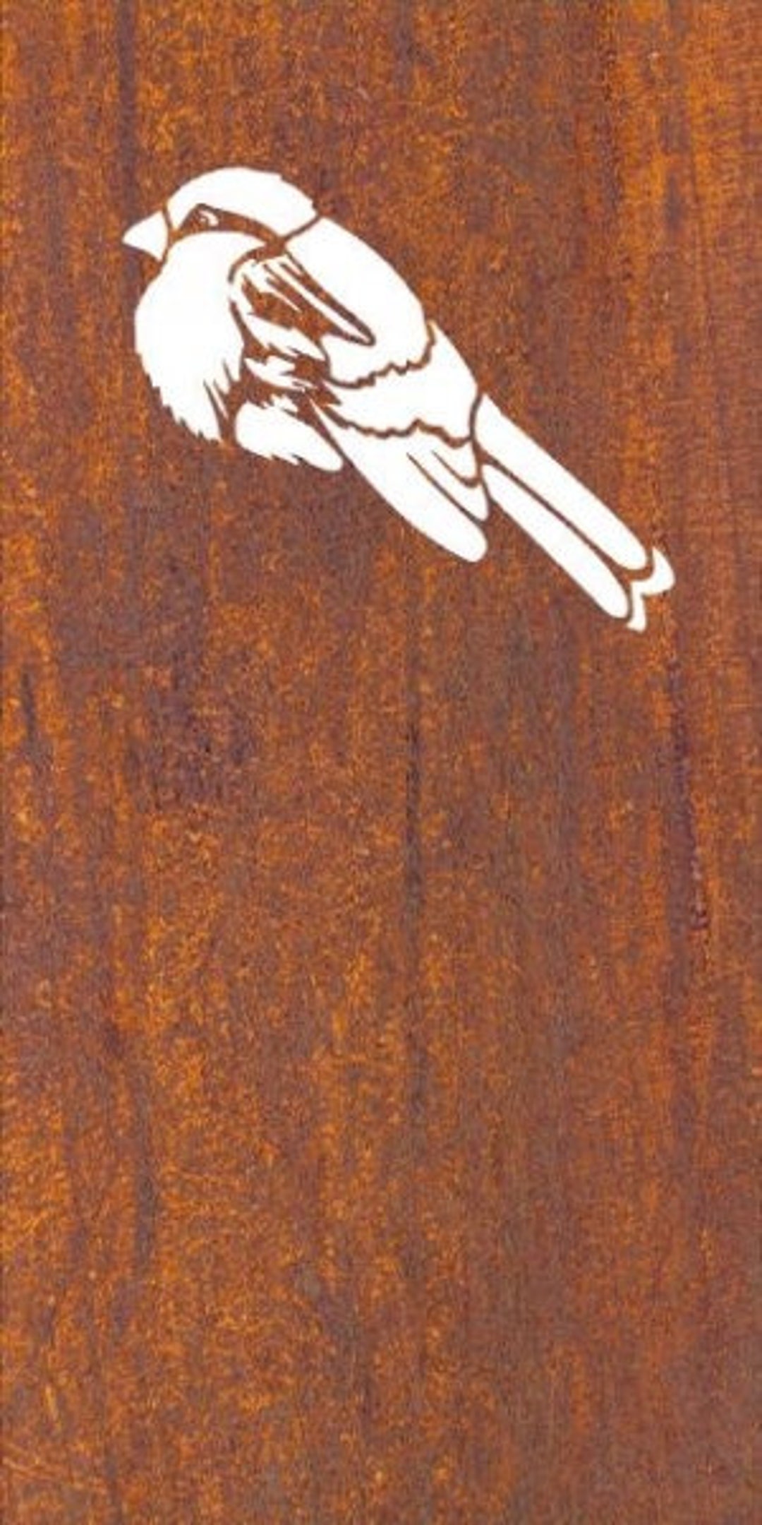 Stainless Rust Privacy Wall Sparrow Head Straight Windscreen - Etsy