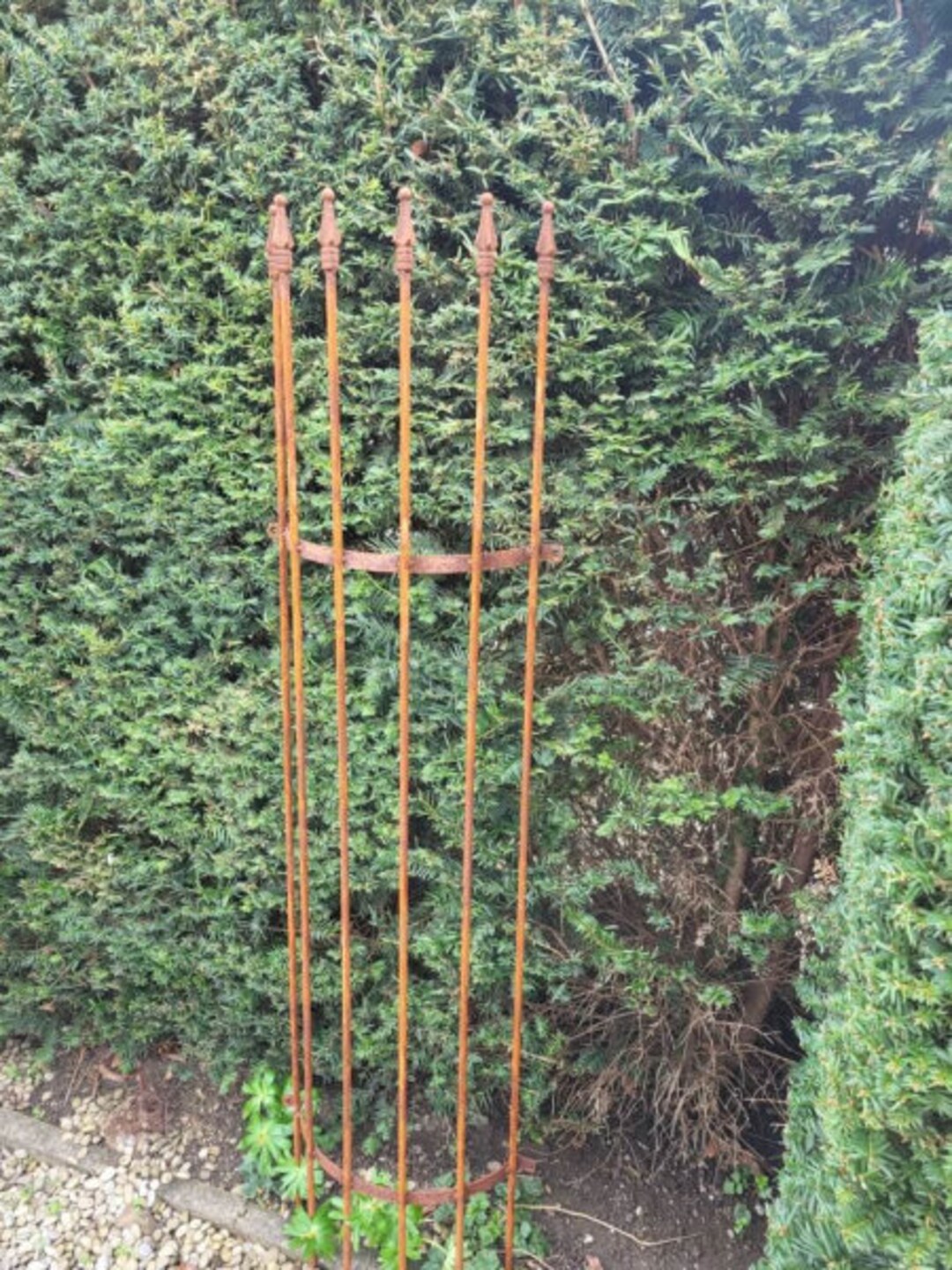 Rado Rust Trellis Semi-circular - Etsy