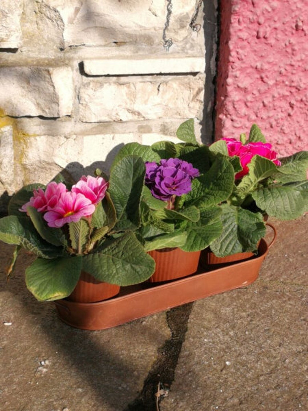 Patina Look Plant Tray Seluna With 3 Pots Garden Decoration Plant ...
