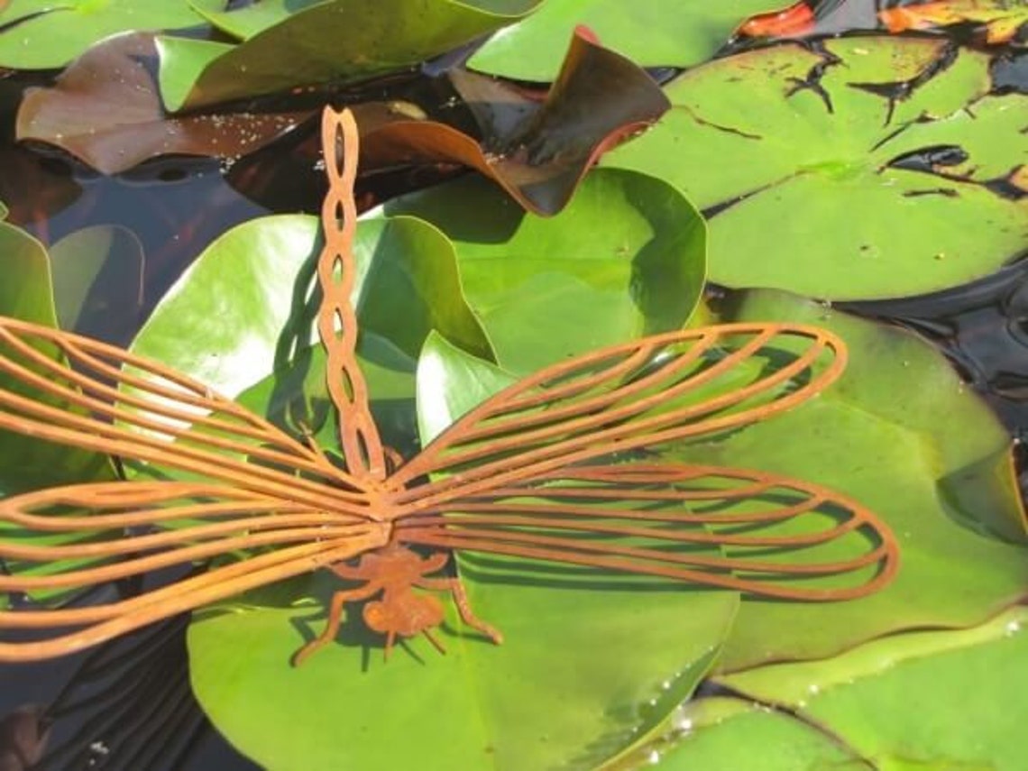 Stainless rust dragonfly for screwing garden decoration animal | Etsy