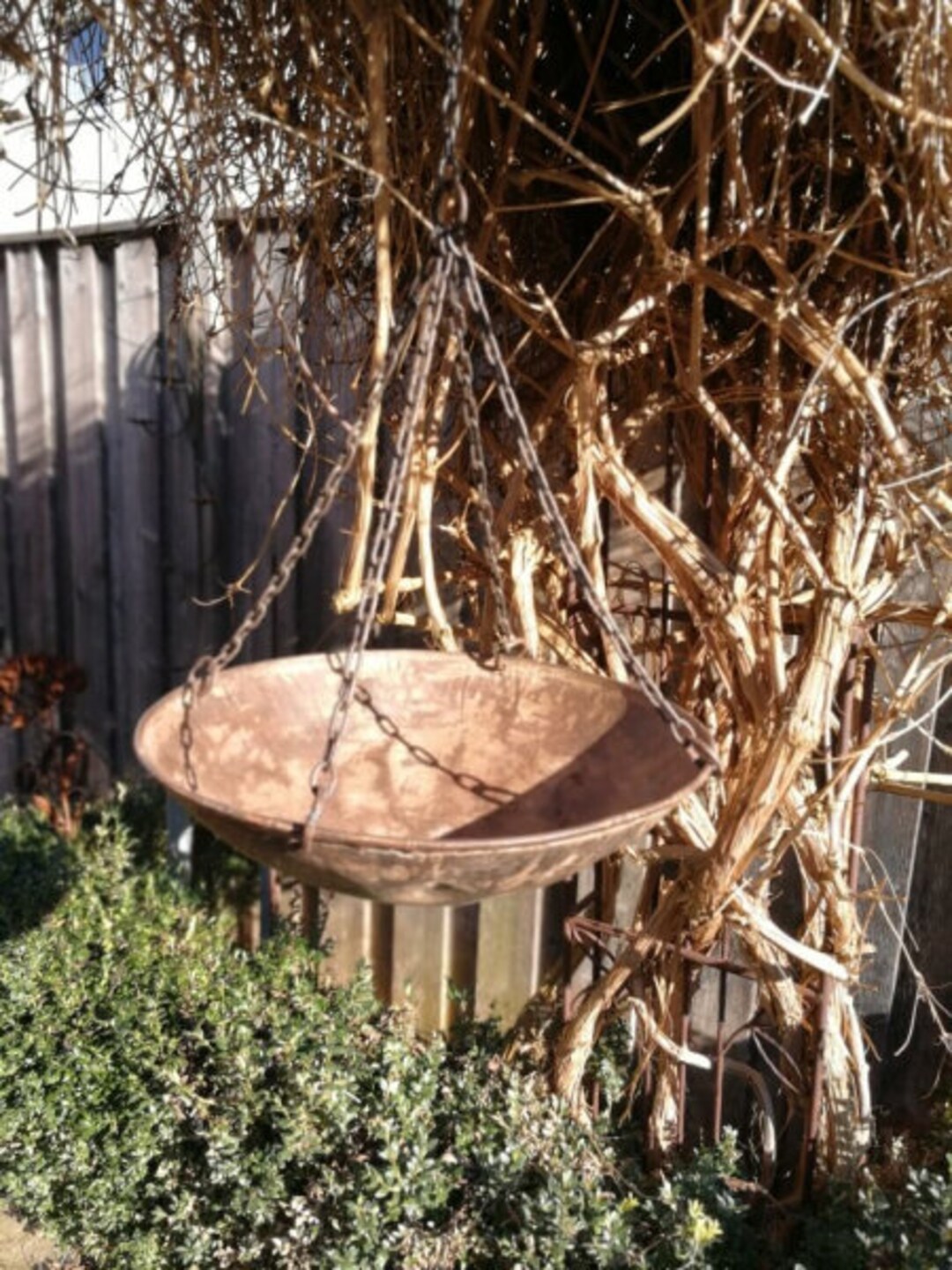 Plant Bowl Elias Made of Metal, for Hanging Garden Decoration Plant ...