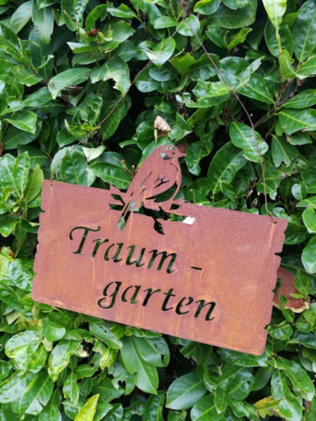 Stainless Rust Shield Dream Garden Garden Decoration Rust Garden ...