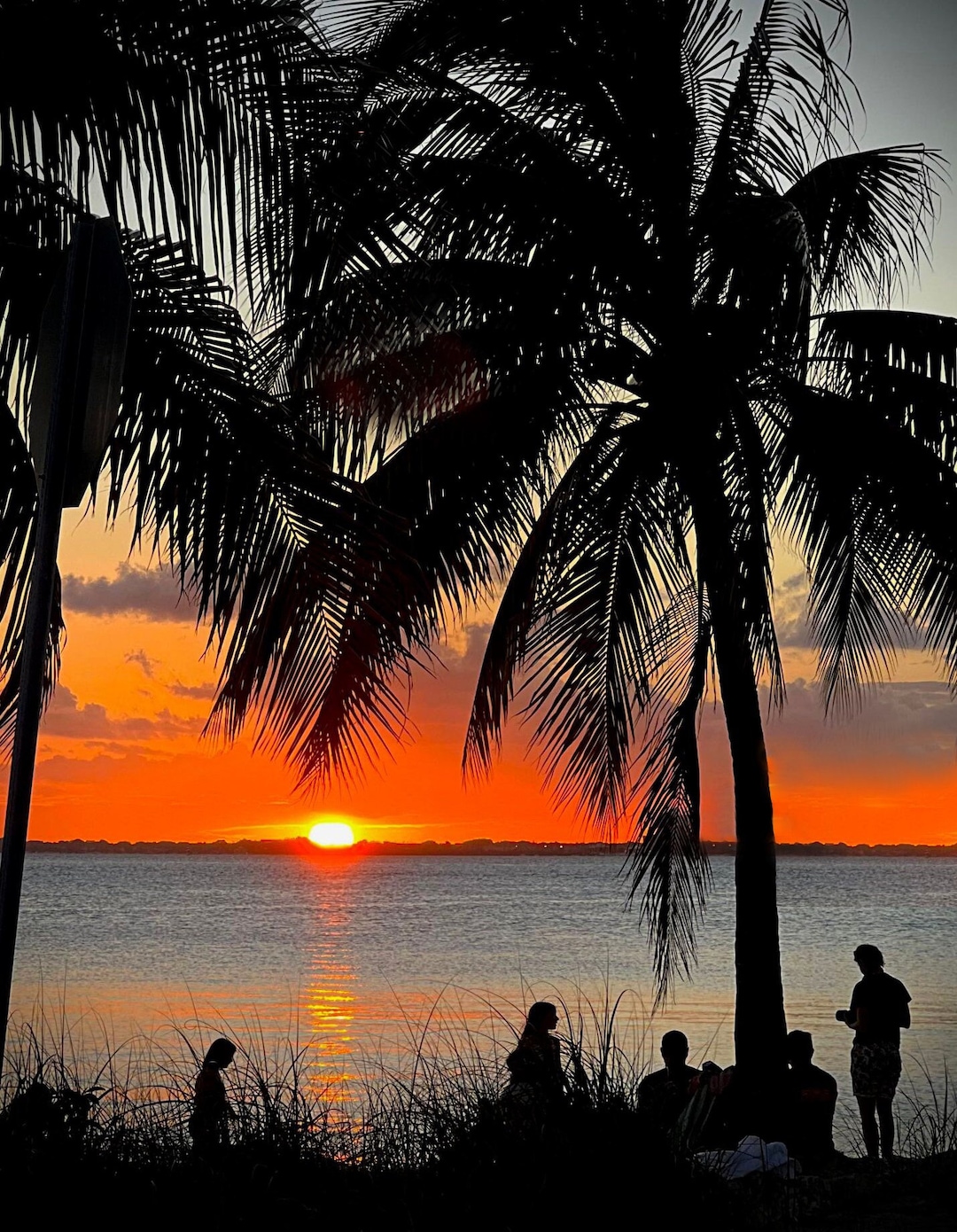 Miami Florida Golden Hour Sunset Beach Under Palm Tree Picnic ...