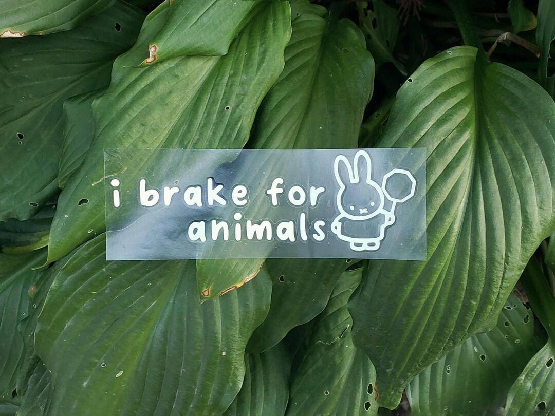 I Brake for Animals Bunny Car/window Vinyl Decal - Etsy