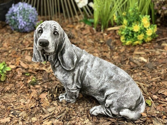 Grey Basset Hound