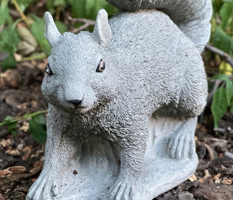 Squirrel Wooden Animal Garden Statue Concrete Backyard Decor - Etsy