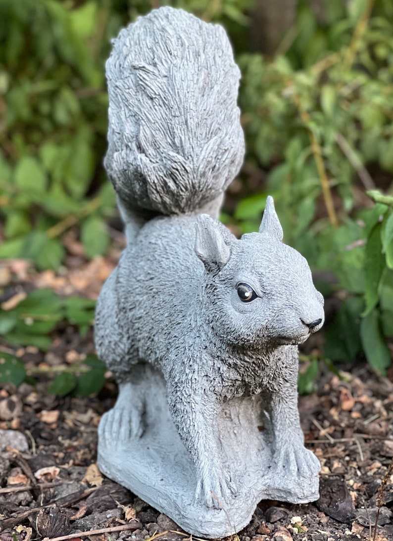 Squirrel Wooden Animal Garden Statue Concrete Backyard Decor - Etsy