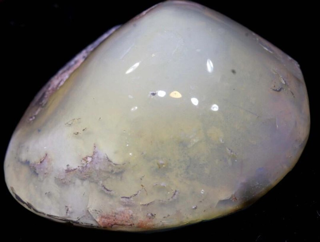 41.9 Cts Clam Shell Opalised Fossil FO-2220 - Etsy