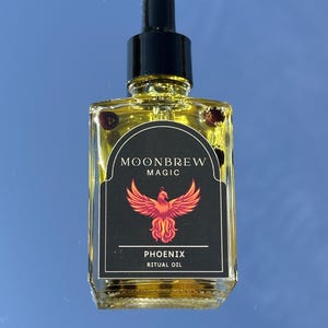 Embrace Your Rebirth | Pave the Way for Your Transformation | Phoenix ...