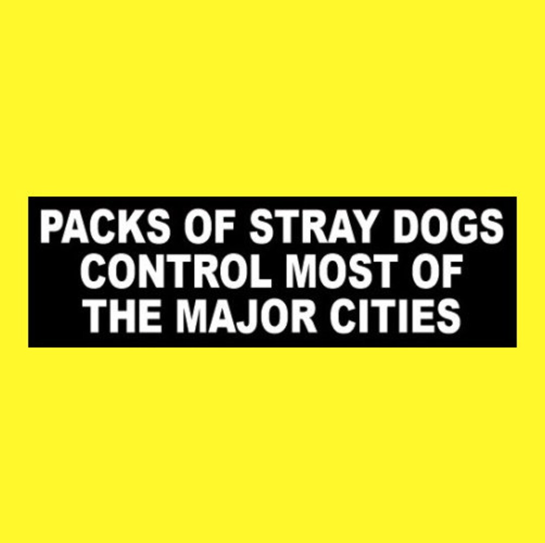 Funny "packs of Stray Dogs Control Most of the Major Cities" Movie ...