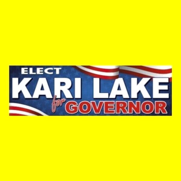 Kari Lake Governor - Etsy